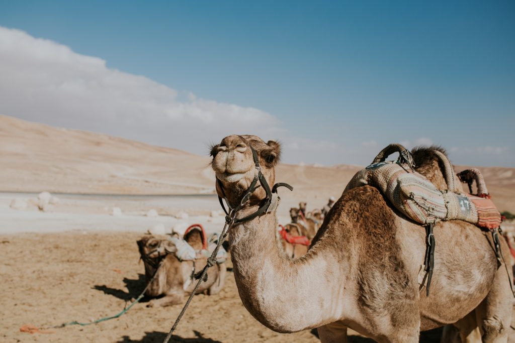 Deciphering Travel Jargon - OU Life