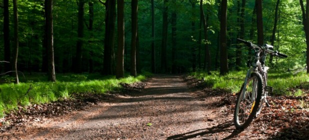 Why Are Our Teens Going Off the Derech? | Everyday Jewish Living | OU Life