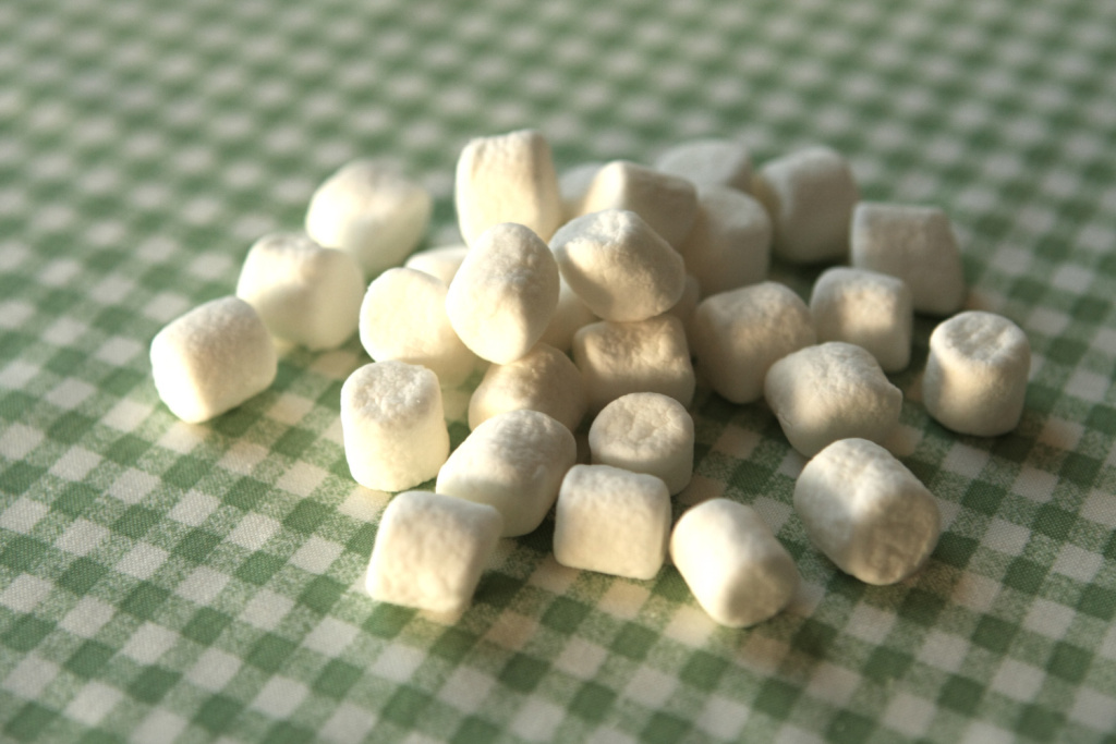 Edible Parsha Project: Parshat Vayetzei - OU Life